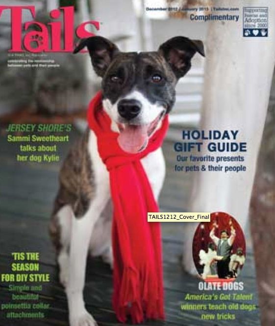 HEADS UP FROM TAILS | The Original Dog Tarot by Heidi Schulman